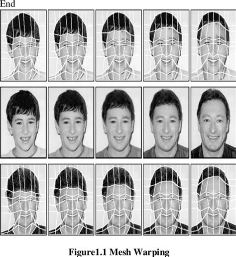 Figure 1 From An Implementation Of Image Morphing Through Mesh Morphing