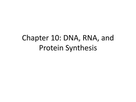 PPT Chapter DNA RNA And Protein Synthesis PowerPoint Presentation ID
