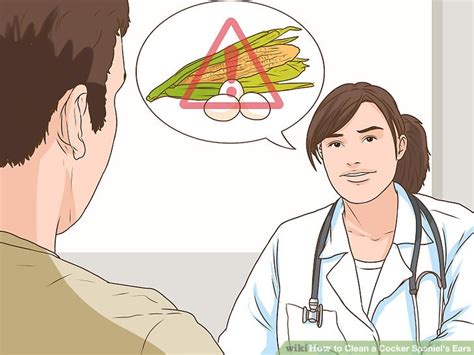 How To Clean A Cocker Spaniels Ears 12 Steps With Pictures