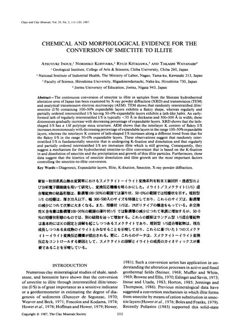 Pdf Chemical And Morphological Evidence For The Conversion Of Smectite To Illite