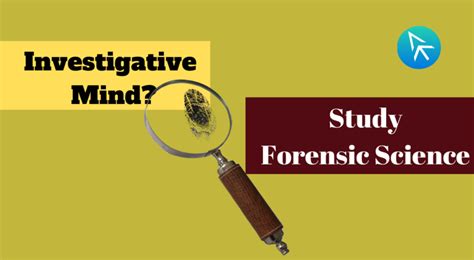 Forensic Science For Mystery Seekers The Applique