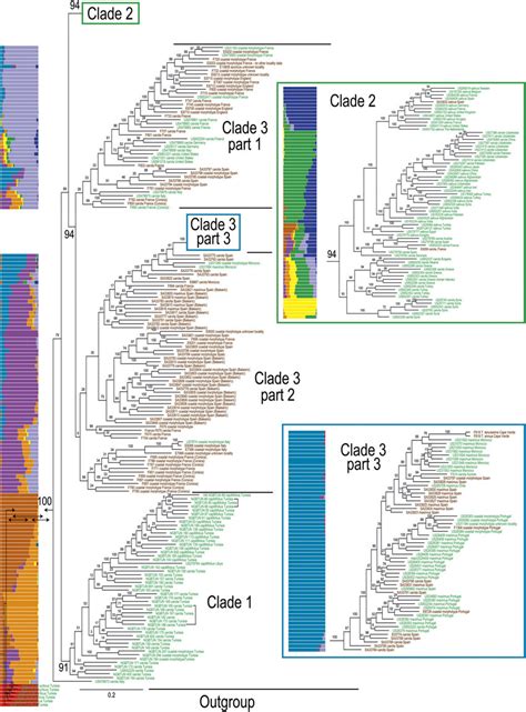 Maximum Likelihood Reconstruction And Structure Of The Genetic Download Scientific Diagram