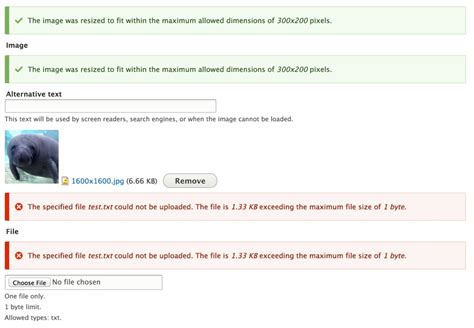Duplicate AJAX Wrapper Around A File Field Drupal Org