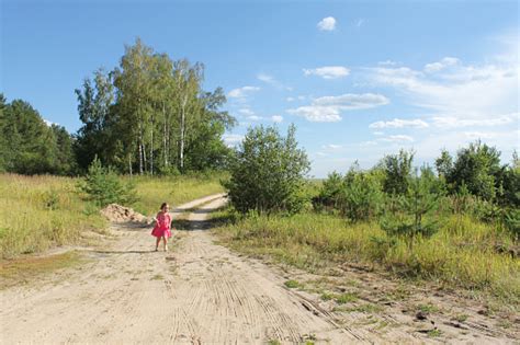 인형과 함께 분홍색 드레스를 입은 귀여운 유아 소녀는 들판과 숲 사이의 모래 길을 따라 달립니다 공간 복사 달리기에 대한 스톡 사진 및 기타 이미지 Istock