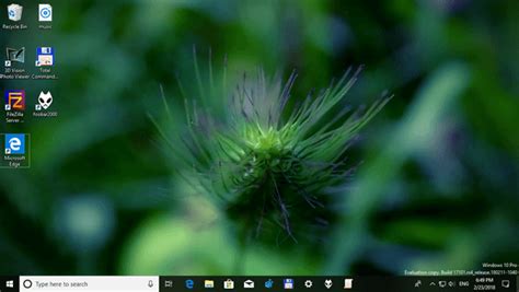 Colors Of Nature Theme For Windows And