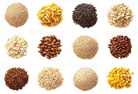 A Variety Of Grains And Seeds Arranged Cut Out Stock 53506124 Png