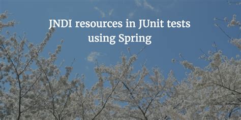 Create JNDI Resources For JUnit Testing Using Spring Java Code Geeks