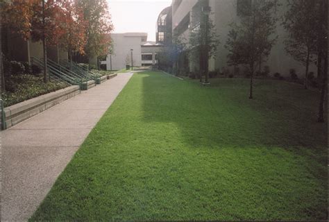 Grassroad Plastic Grassed Paving System