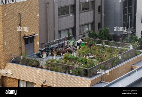 Rooftop Gardens Tokyo At Jonathan Middleton Blog