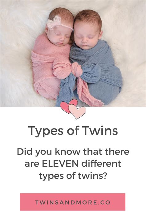 Types Of Twins Did You Know There Are Eleven Twins And More Types Of Twins Twin Pregnancy