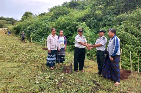 မိုးနဲမြို့နယ်လမ်းဦးစီးဌာနမှ လမ်းဘေး ဝဲ ယာ စိမ်းလန်းစိုပြည်ရေး မိုးရာသီစုပေါင်းသစ်ပင်စိုက်ပျိုး