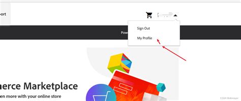 宝塔安装magento 2教程 batmeth2安装 csdn博客