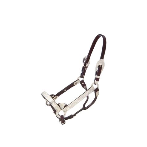 Royal King Deluxe Congress Show Halter