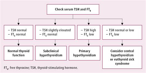 Differential Diagnosis Of Hypothyroidism And Hyperthyroidism At Helen Ball Blog