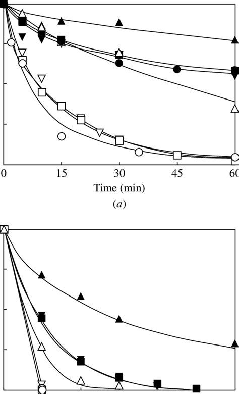 5 inactivation of amino terminal fragment mutant inactivation test of