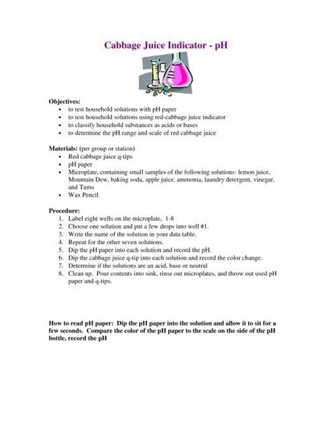 Cabbage Juice Indicator Ph Lab