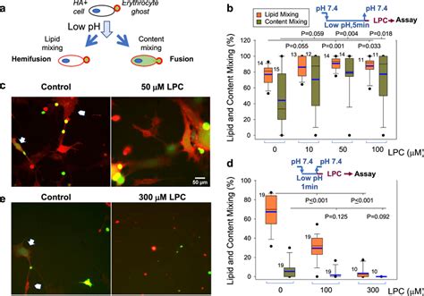Dependent On The Time Of Application And Concentration Lpc Either Download Scientific Diagram