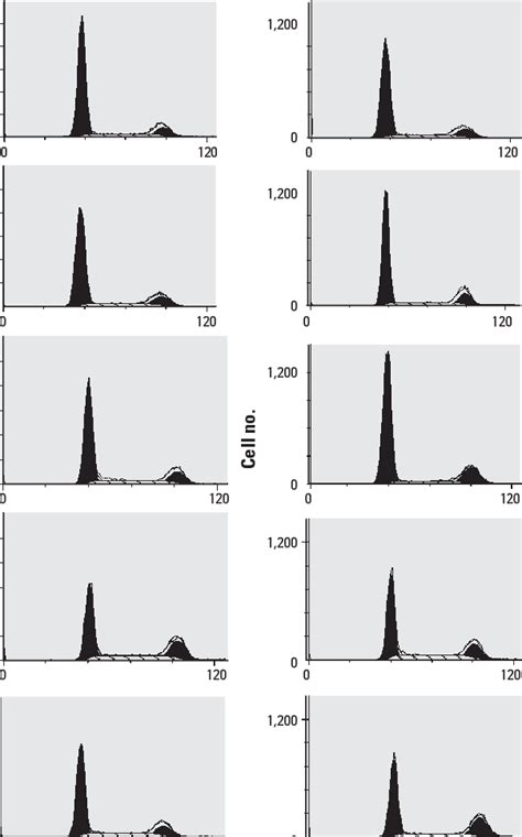 A Schematic Diagram Illustrating The Strategies And Approaches Used In Download Scientific