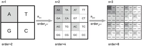 Chaos Game Representation Matrices For Increasing Word Length N With Download Scientific