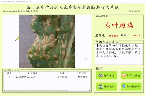基于yolov8深度学习的玉米叶片病害智能诊断与防治系统【python源码pyqt5界面数据集训练代码】深度学习实战、目标分类玉米叶片