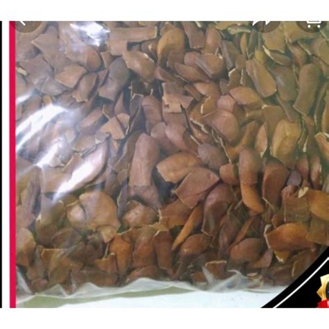 Jual Biji Mahoni Cocok Buat Obat Tradisional 1klo Ea Kk Shopee Indonesia