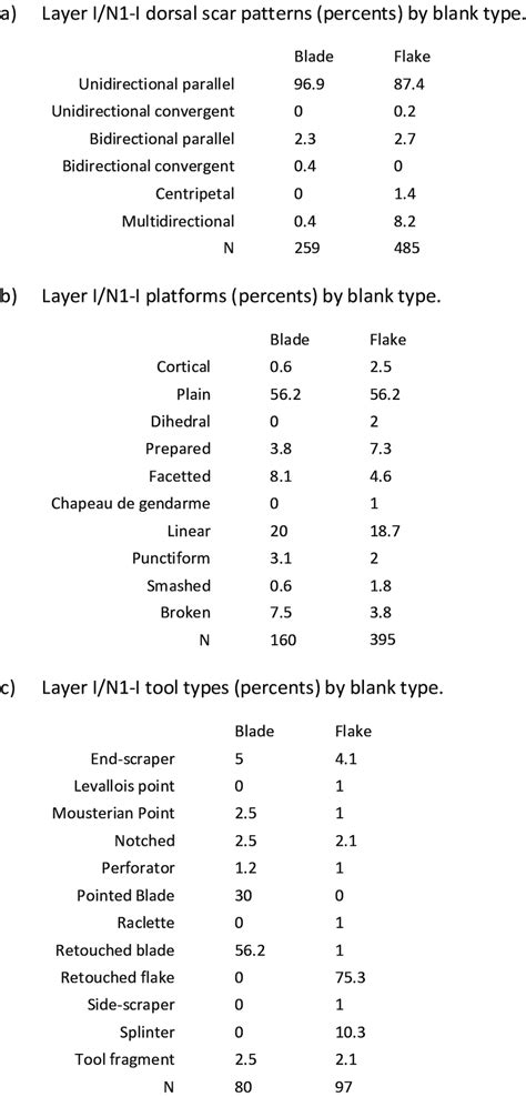 Some Technological And Typological Aspects Of The Layer I Assemblage