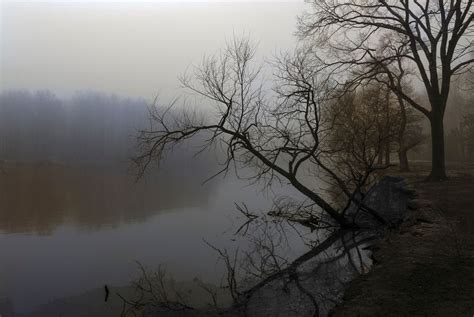 Dennis Arculeo Photographer Youpic