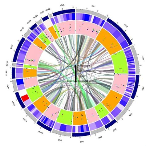 Circos Plot Created With Shinycircos Chromosome Ideogram Download Scientific Diagram