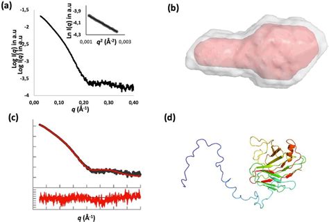 Saxs Data And Models For Nopaa A Experimental Saxs Data Are Plotted Download Scientific