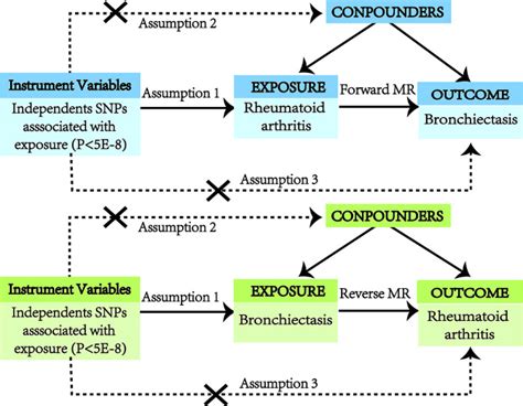 Causal Relationship Between Rheumatoid Arthritis And Bronchiectasis A Bidirectional Mendelian