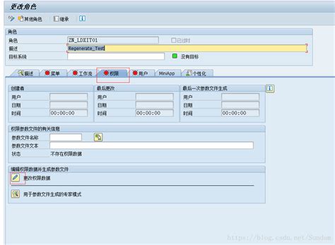 sap 创建自定义的权限对象 sap 权限对象 csdn博客
