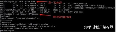 cgroup使用介绍 知乎
