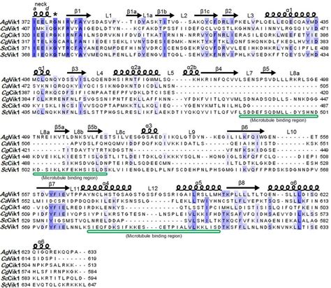 multiple sequence alignment of cik1 and vik1 motor homology domains