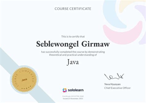 Seblewongel Girmaw On Linkedin Java Certificate From Sololearn Online