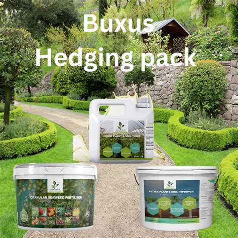 Buxus Hedging Aftercare Pack Better Plants
