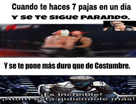 Top Memes De Ganso En Español Memedroid