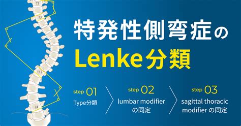 特発性側弯症のlenke分類 Medeco Pro