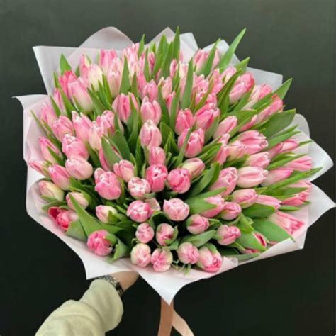 Букет из розовых тюльпанов "Ферст Класс" | 51 цветок - 8590.00 рублей