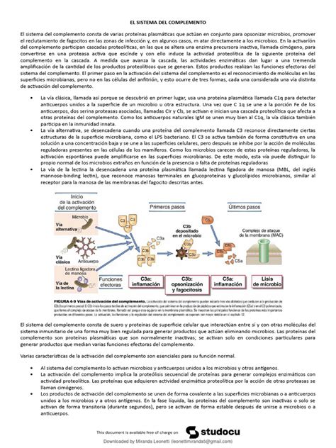 El Sistema Del Complemento Pdf Sistema Complementario Inmunidad