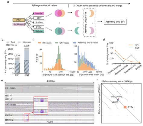 Examining Assembly Only Structural Variants A The Schematic Of
