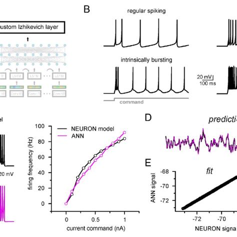 Firing Pattern Representation With Custom Artificial Neural Network