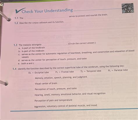 Solved Check Your Understanding1.1 ﻿The serves to protect | Chegg.com