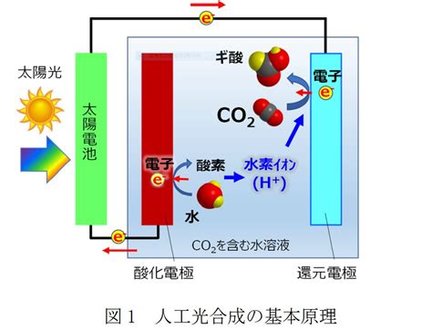 エネルギー問題解決は植物に学べ 人工光合成が世界を変える Webcg