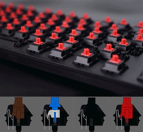 Xxcopy Switches