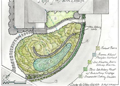 Native Landscape Design And Installation Piedmont Discovery Center