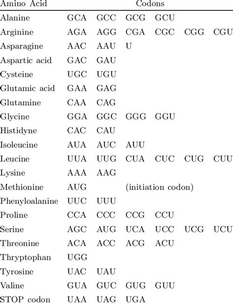 Amino Acid Codons In Rna Download Table