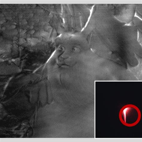 The Eyebox Problem And Smooth Phase Cgh Algorithms State Of The Art