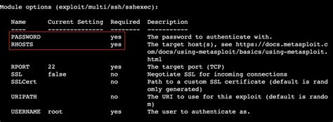 Tutorial De Kali Linux Acceso Comandos Esenciales Y Consejos