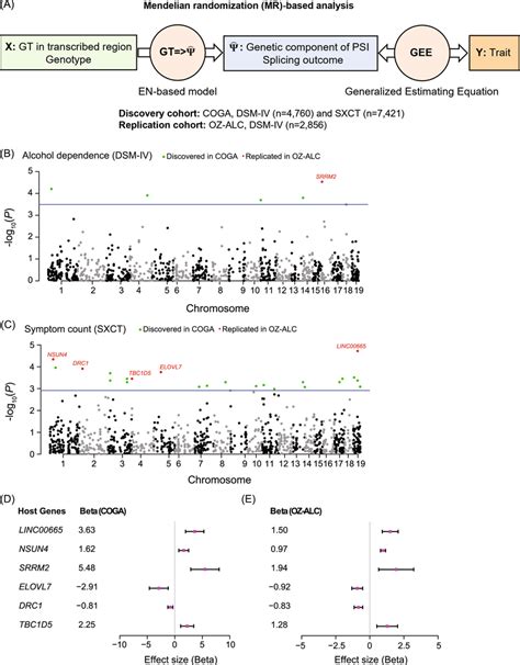 Mendelian Randomization Mr Based Analysis Of Coga A Overview Of The Download Scientific