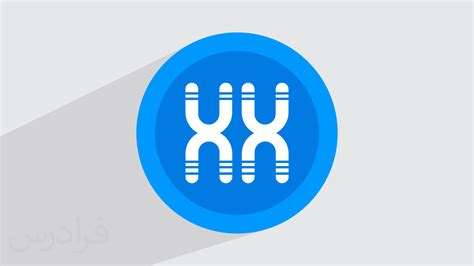 کروموزوم چیست؟ ساختار و نقش آن در ویژگی‌های ارثی فیلم آموزش رایگان